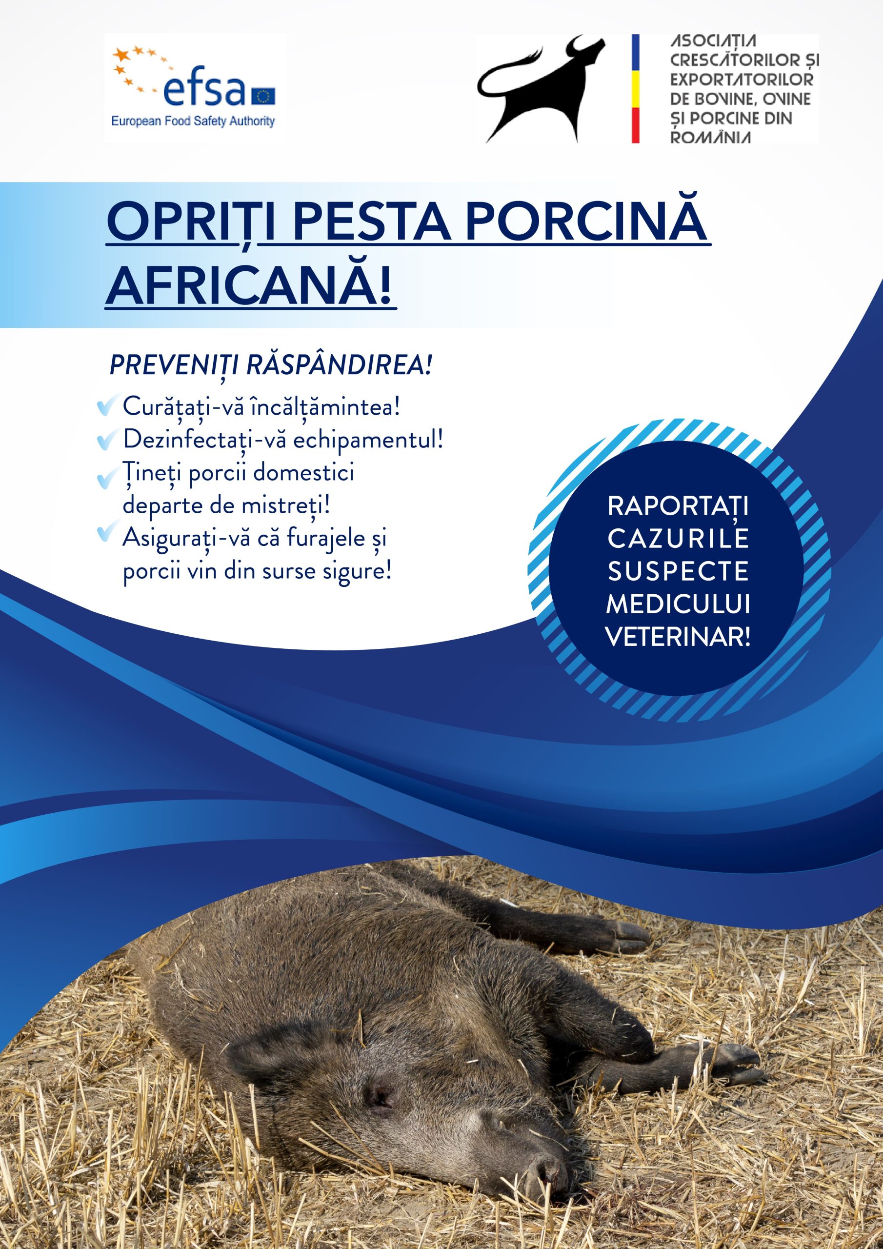 Campania „Opriți Pesta Porcină Africană!”, inițiată de Autoritatea ...